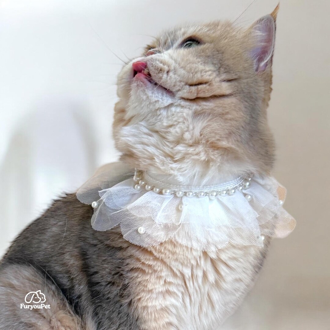 Personalized Pet Wedding Collars Handmade Neckwear for Cats Dogs ...