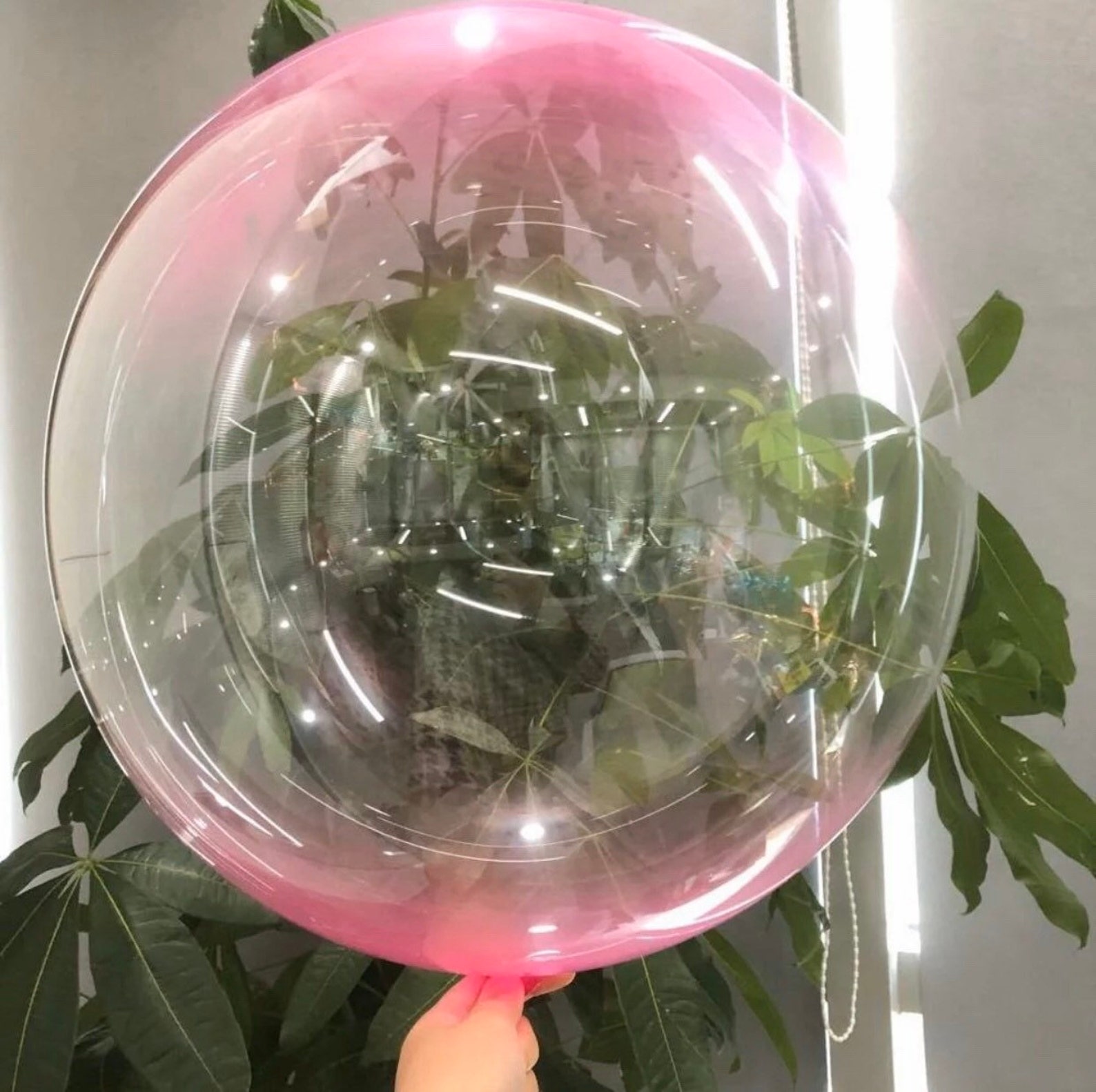 Clear Balloons Transparent Colored Balloons Bubble - Etsy