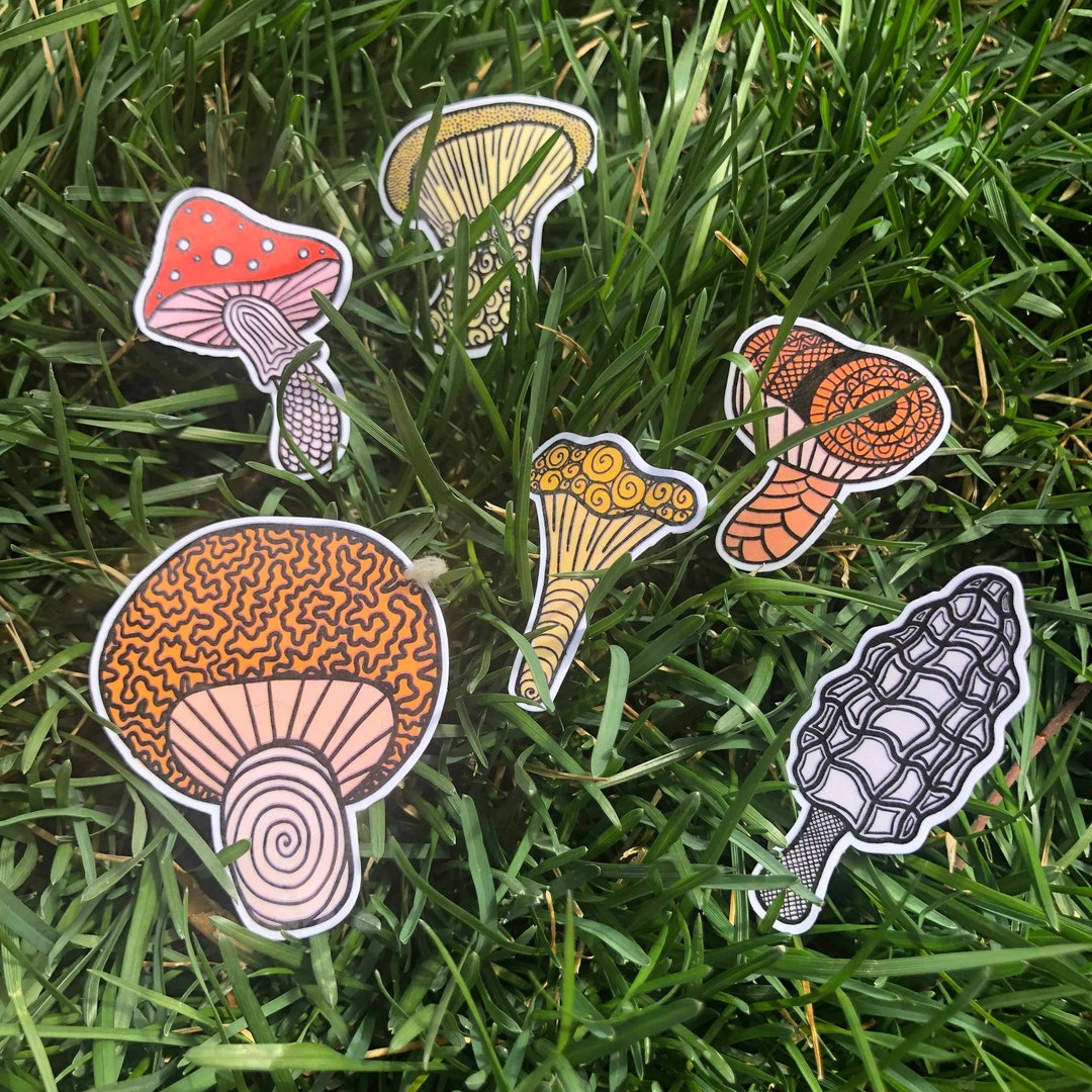 Mushroom Sticker Pack Mushroom Stickers Magnet Fridge - Etsy