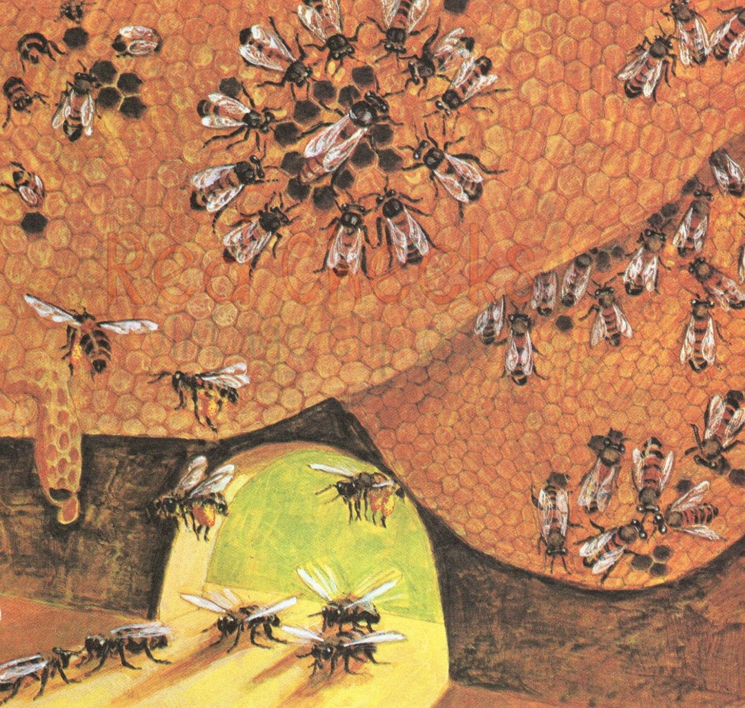 Vintage Honey Bee Print: Beehive & Honeycomb Illustration (digital ...