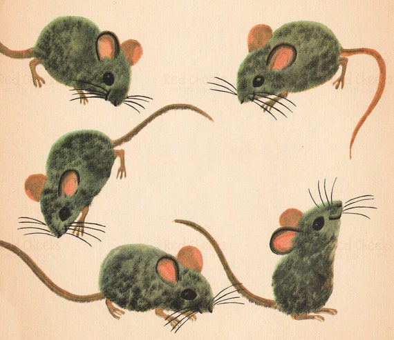Vintage Mouse Illustration