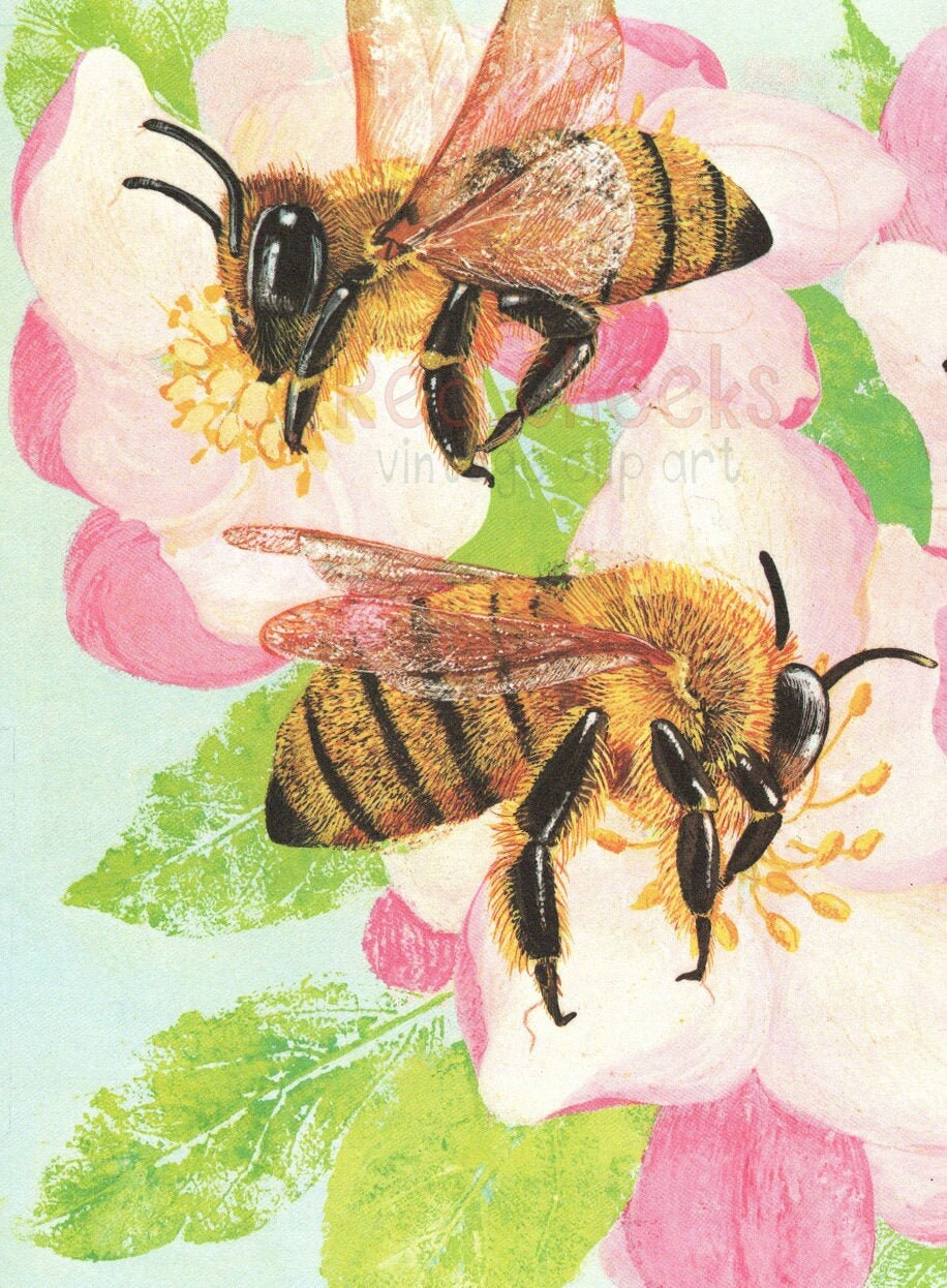 Vintage Honey Bee Print: Wildflower Nursery Art (digital Download) - Etsy