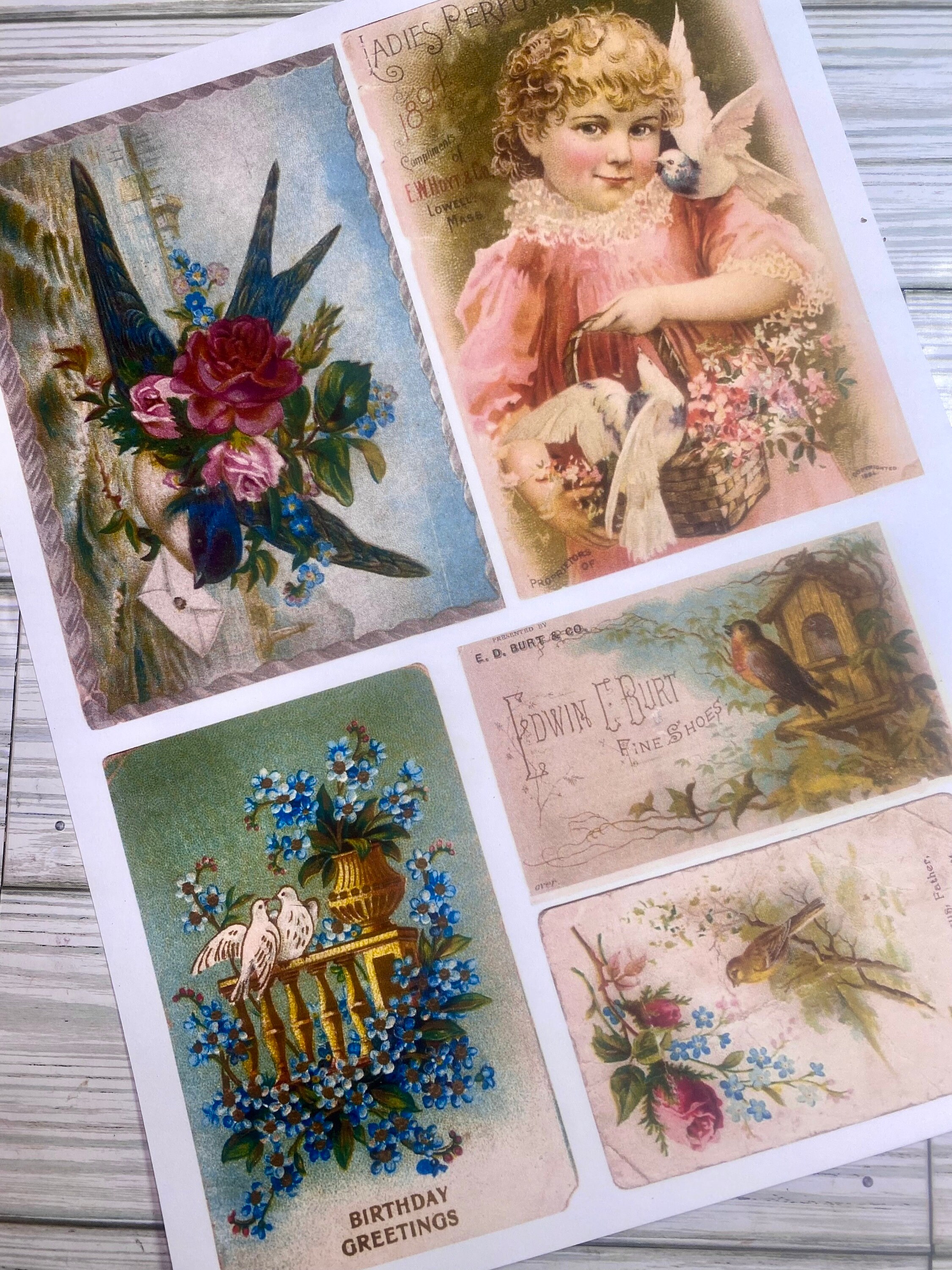 Vintage/victorian Advertising-postcards Digital Collection - Etsy