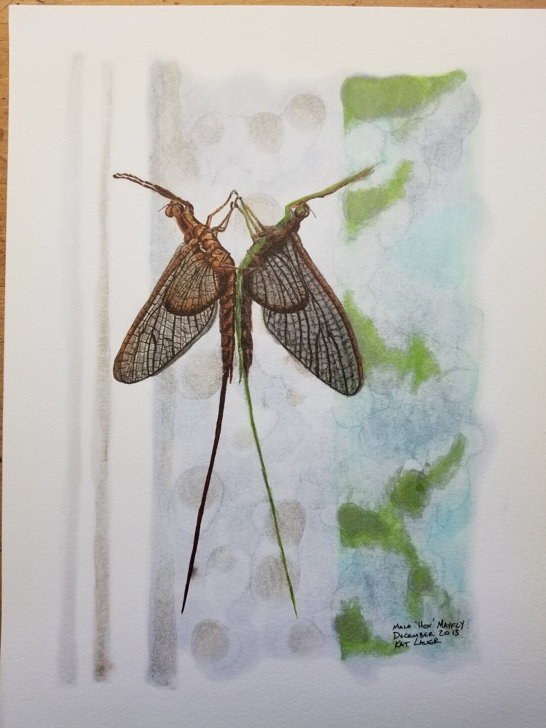 Hex Mayfly 5x7 Matted - Etsy