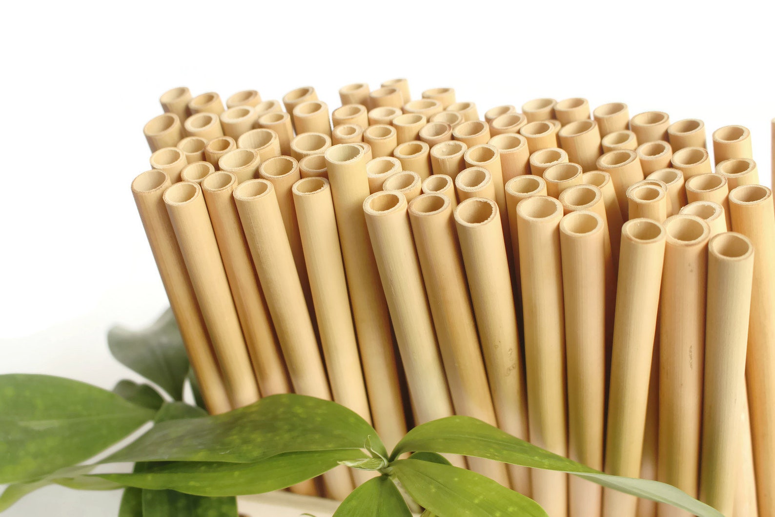 Bamboo Straws - 70 Plain or Custom Engraved Bamboo Straws 8" for Party ...