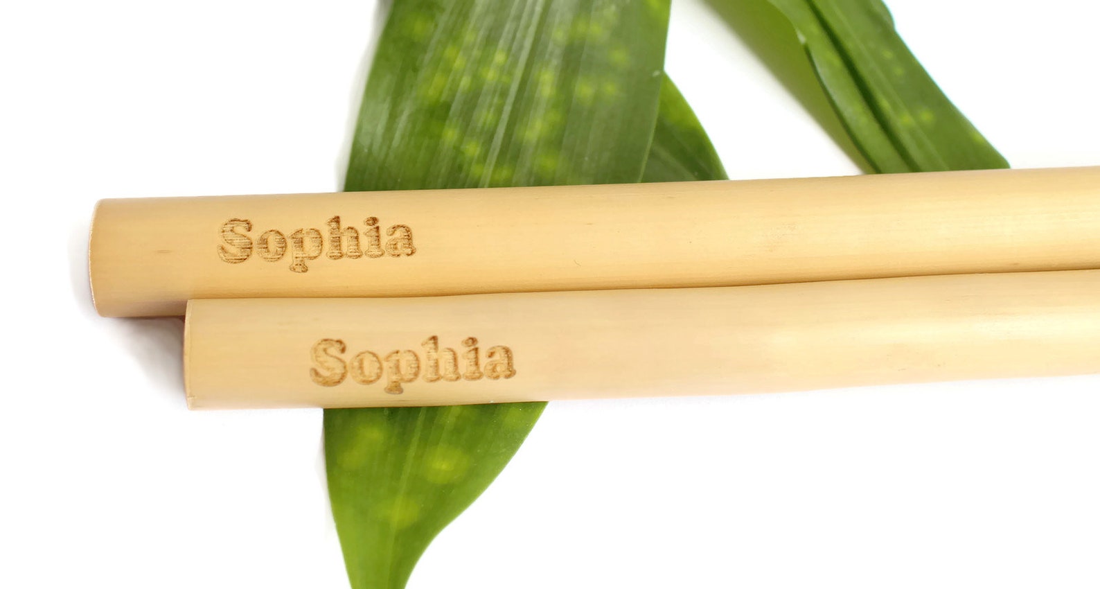 2 Sets X MAP Straw Sleeve With Bamboo Straws Cleaning Brush | Etsy