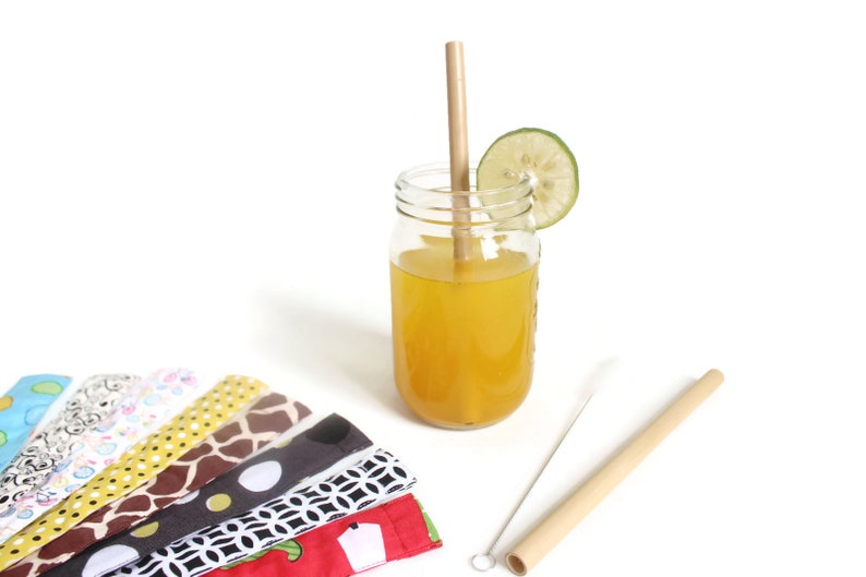 2 Sets X Straw Case Mint and White With Drinking Bamboo Straws | Etsy