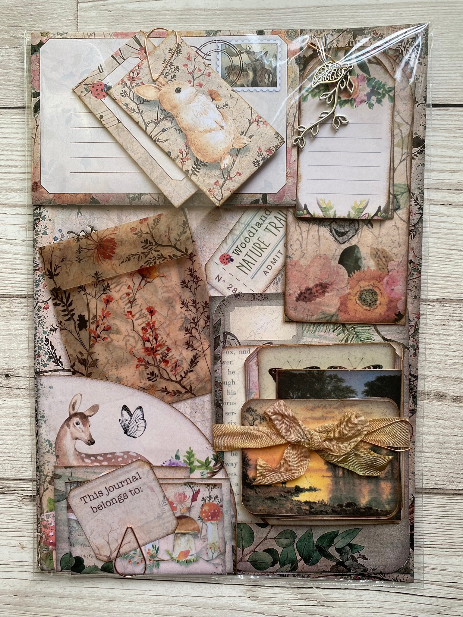 Woodland Wildlife Journal Kit, Forest Animals Junk Journal Starter Pack ...