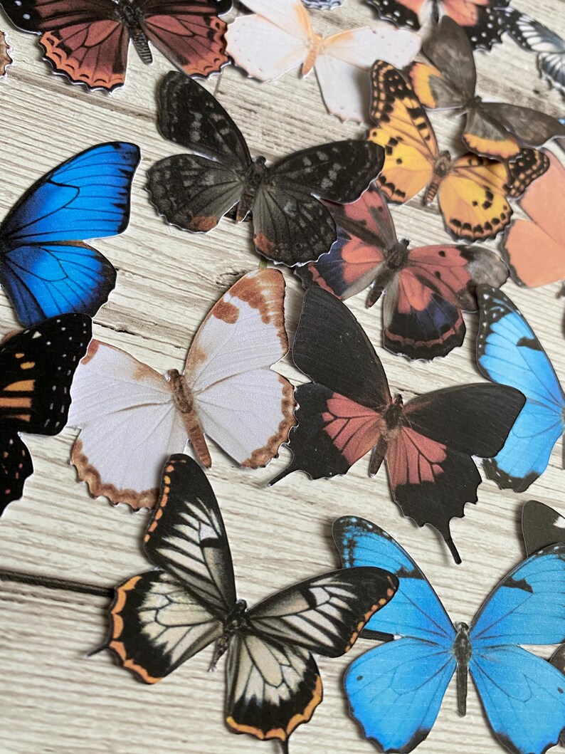 Fussy Cut Butterflies for Junk Journaling, Scrapbooking, Collage and ...