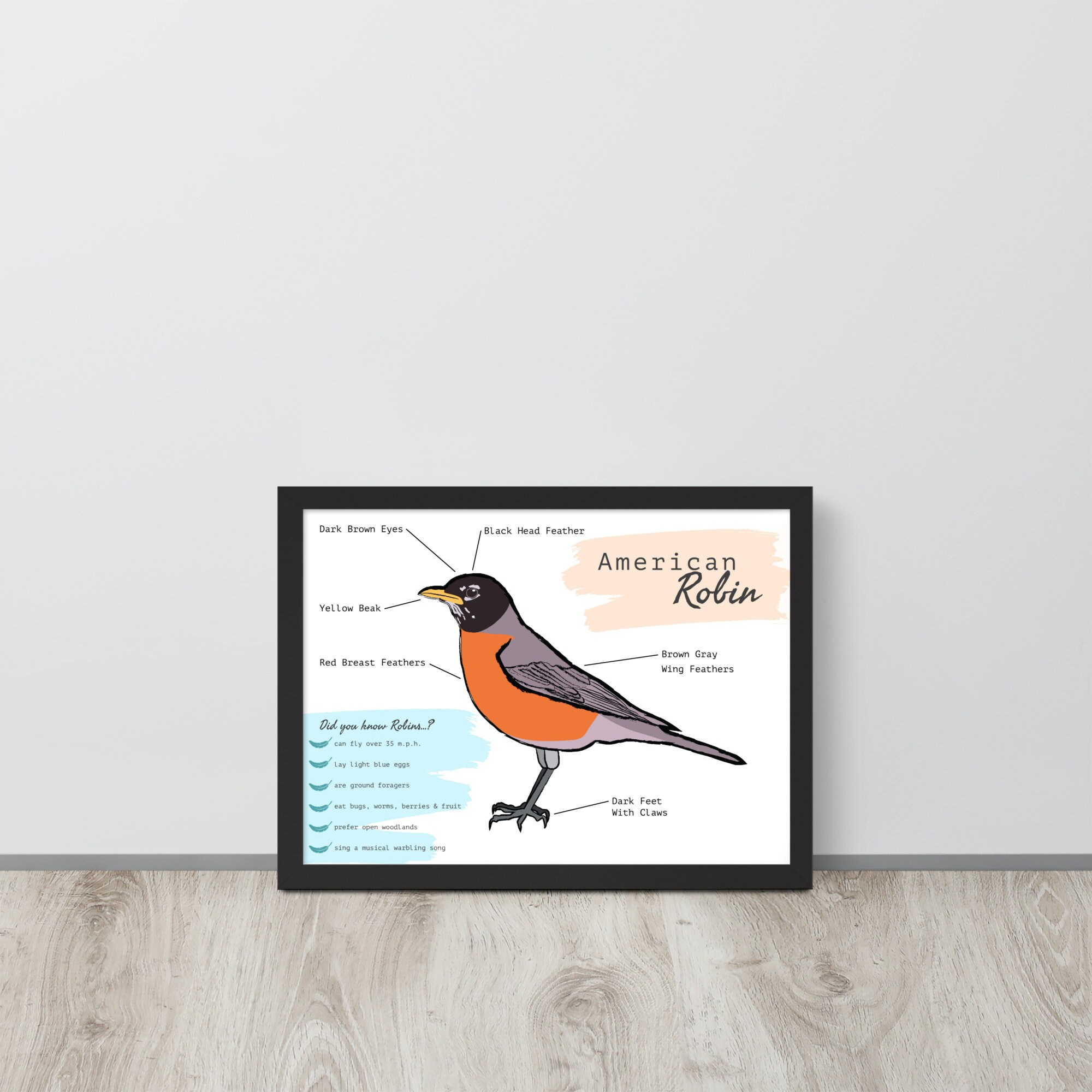 North American Birds Fun Facts Printable Wall Art Set of 4 - Etsy