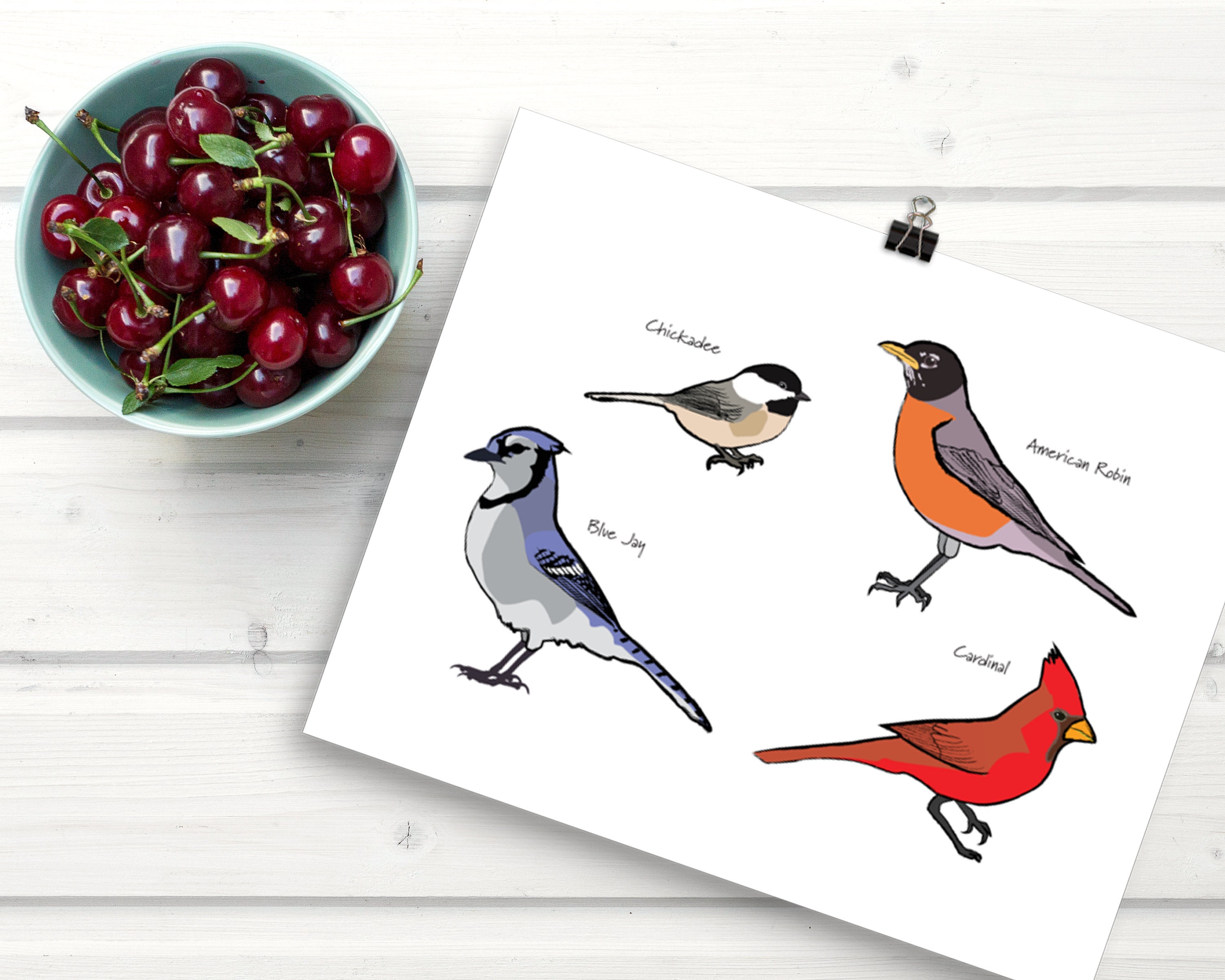 Blue Jay And Cardinal And Oriole