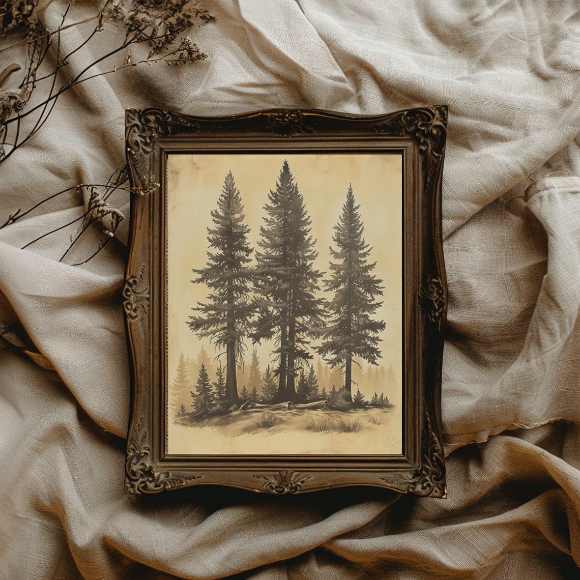 Redwood Tree Print Vintage Redwood Tree Illustration Giant Redwood ...