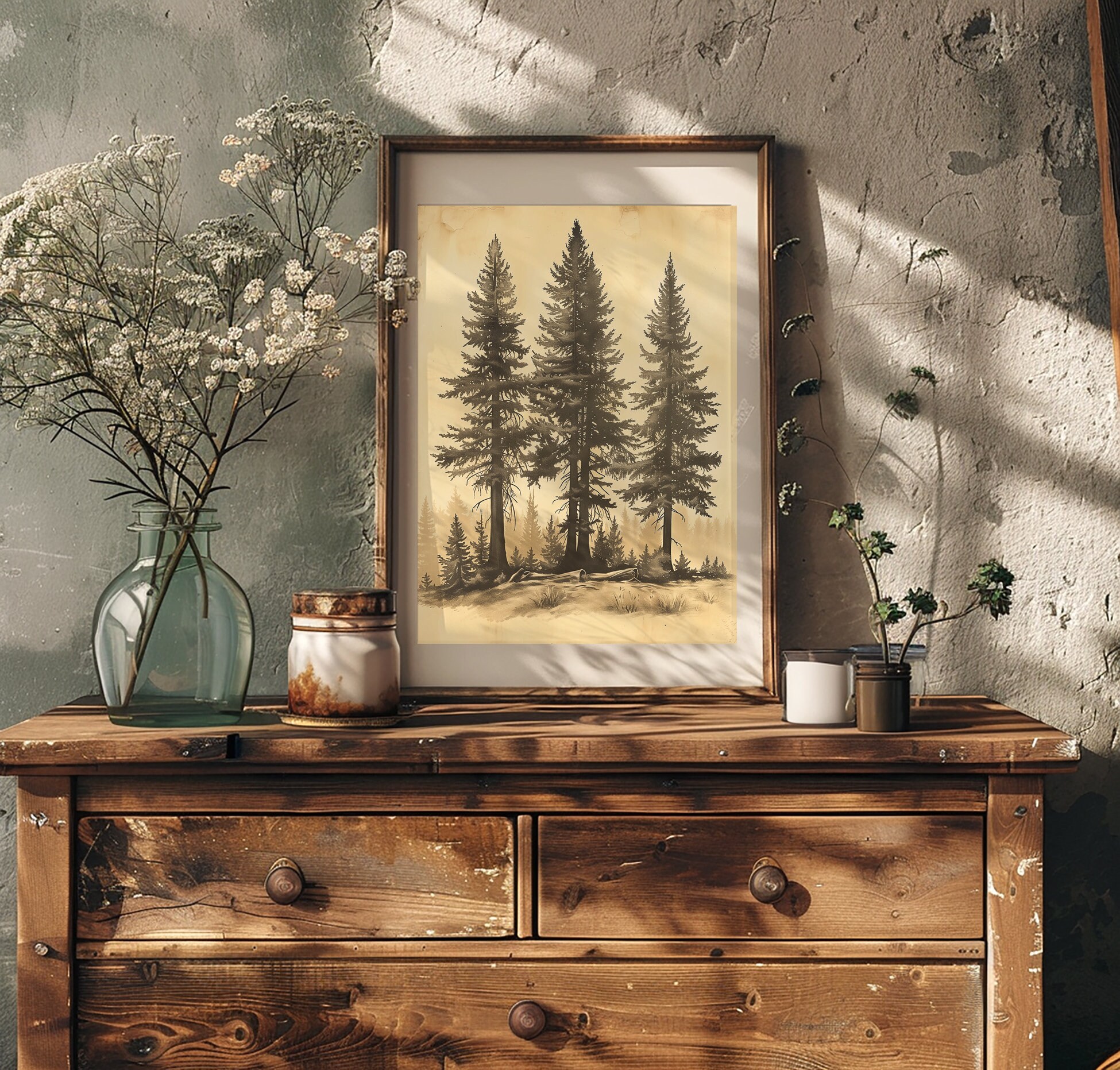 Redwood Tree Print Vintage Redwood Tree Illustration Giant Redwood ...
