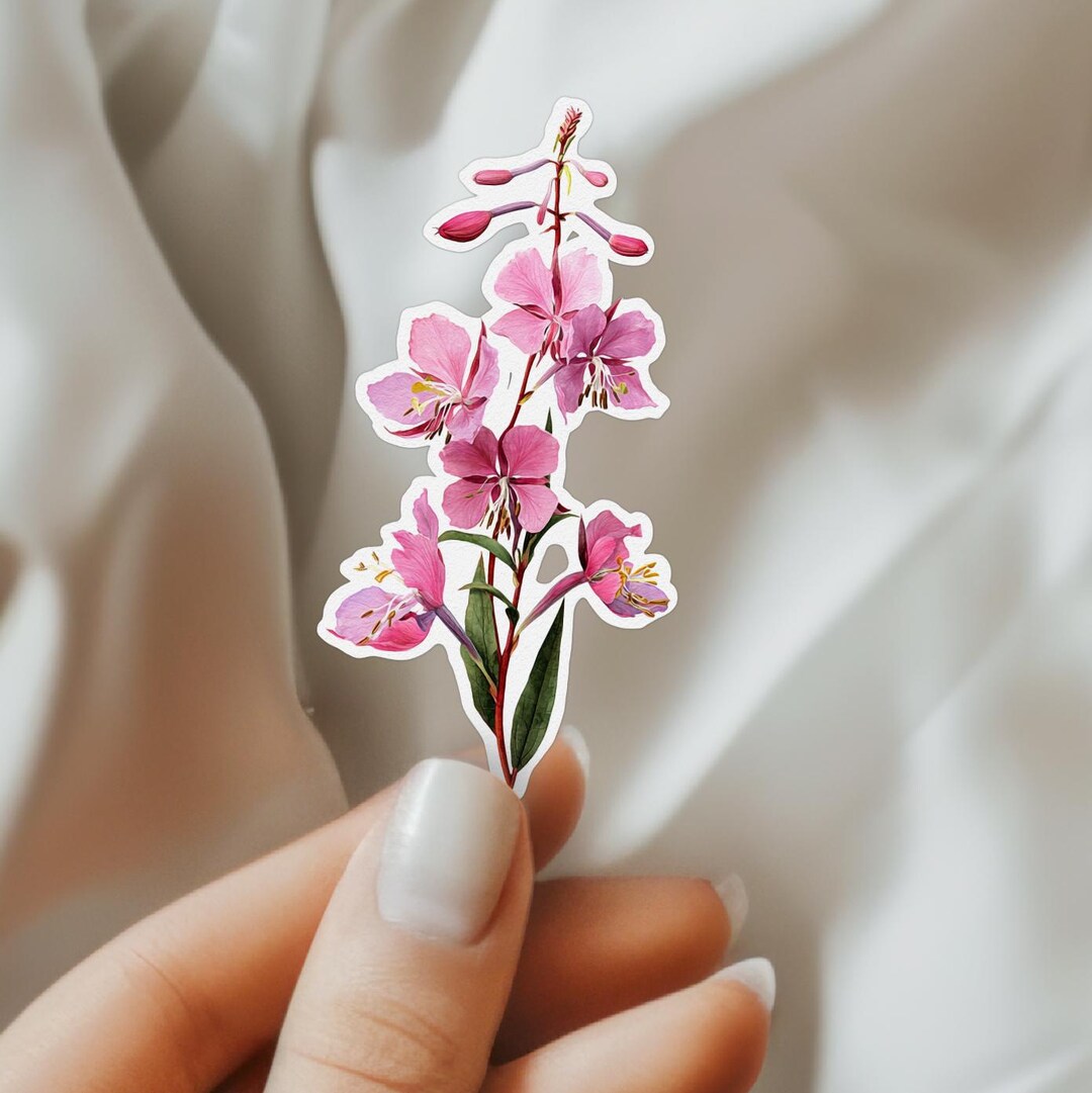 Pink Fireweed Sticker Waterproof Flower Sticker Botanical Sticker ...