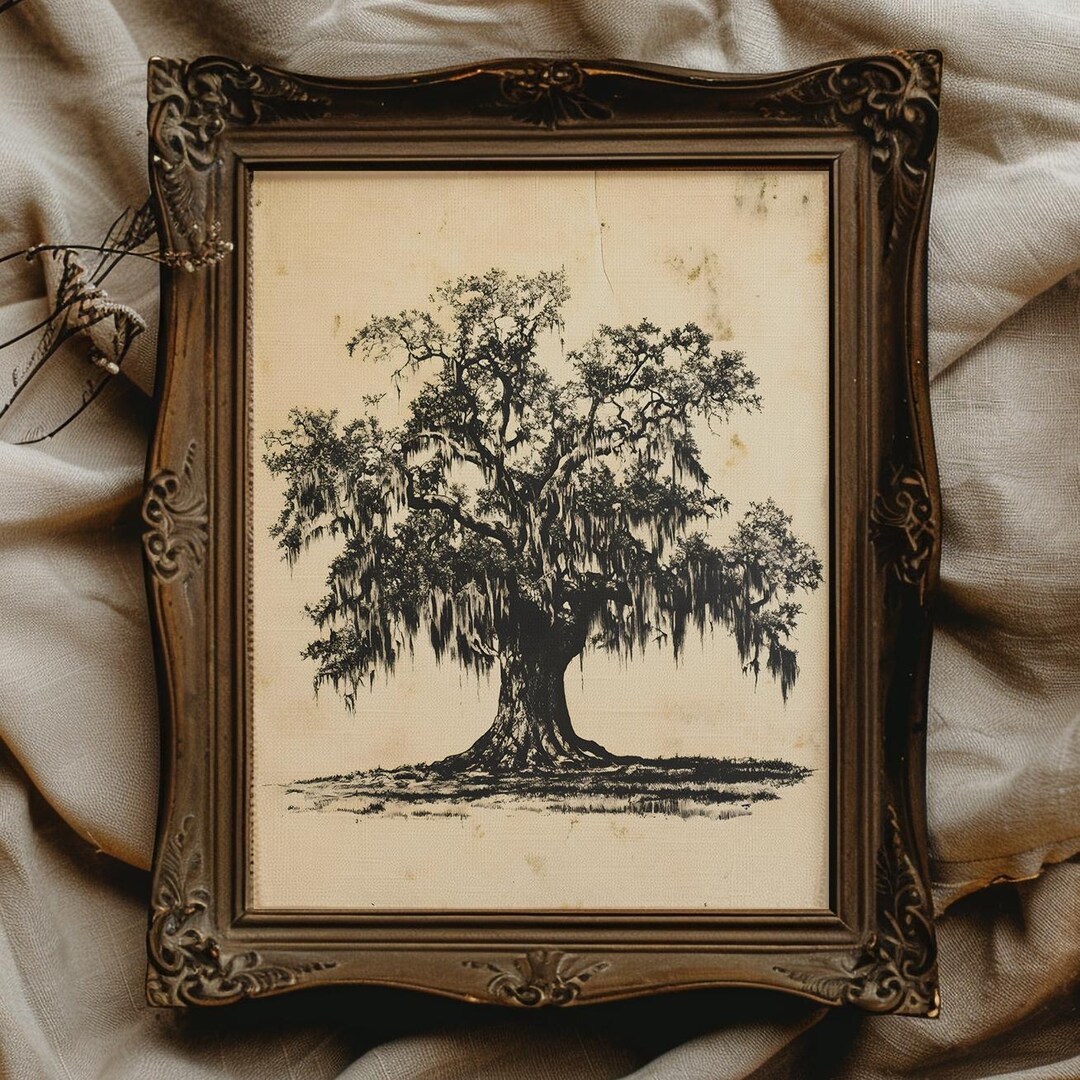 Live Oak Tree Illustration Cottagecore Tree Print Spanish Moss Art ...