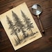 Redwood Tree Print Vintage Redwood Tree Illustration Giant Redwood ...