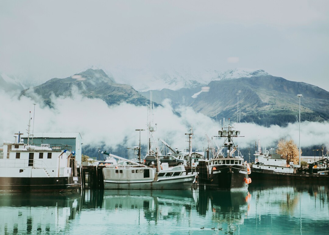 Seward Alaska Harbor, Resurrection Bay, Kenai Peninsula Photography ...