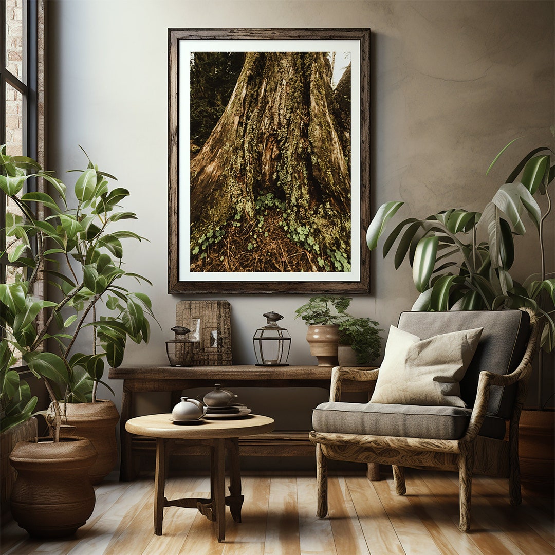 Lucky Redwood Tree Poster, Clover, Moss, California Redwoods, Jedediah ...