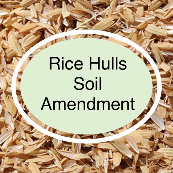 Rice Husk - Etsy