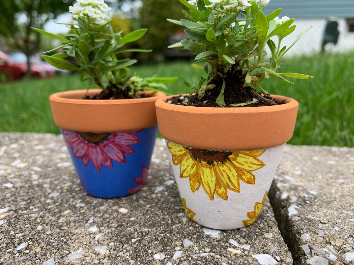 Mini 2 Painted Sunflower Pots | Etsy