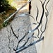 Forged Iron Seaweed Coral Ocean Stair Railing Coastal Design - Etsy
