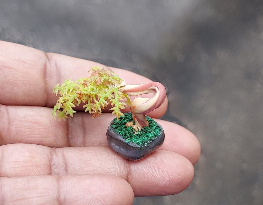 Dollhouse Bonsai 1:12 Scale-miniature Bonsai Tree-dollhouse Plants ...