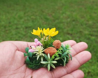 Miniature Crocus | Etsy