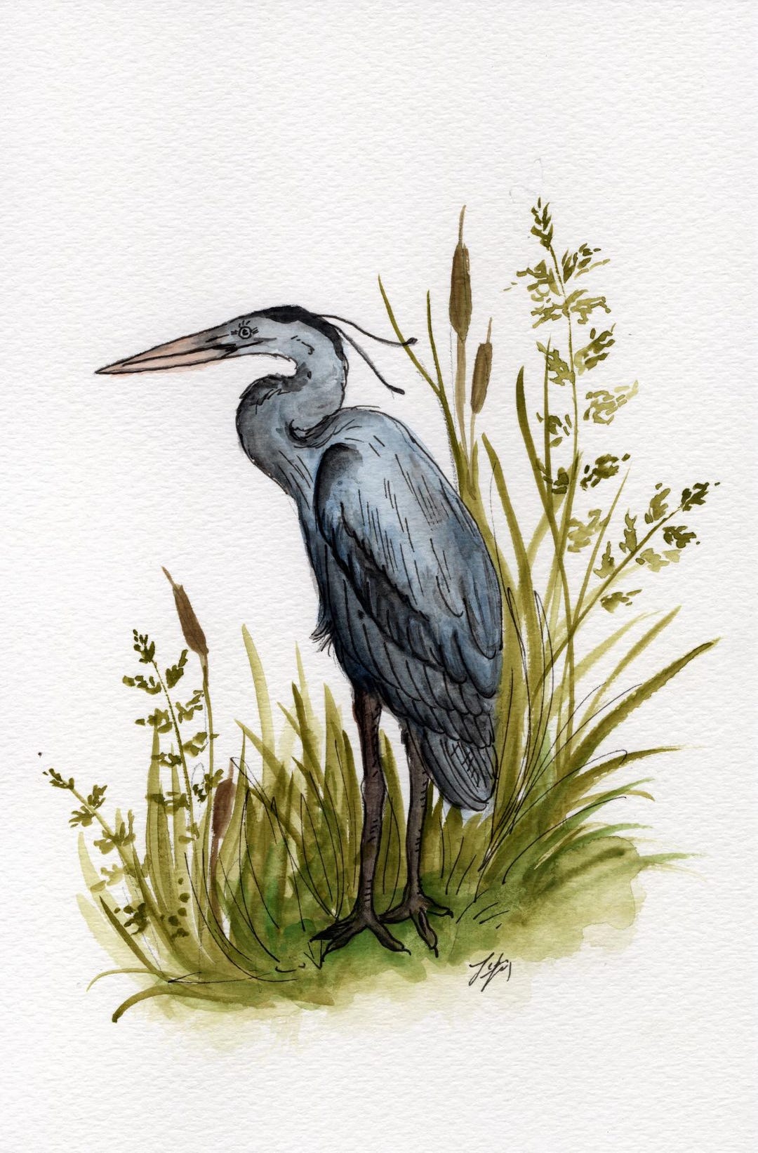 Blue Heron Print - Etsy