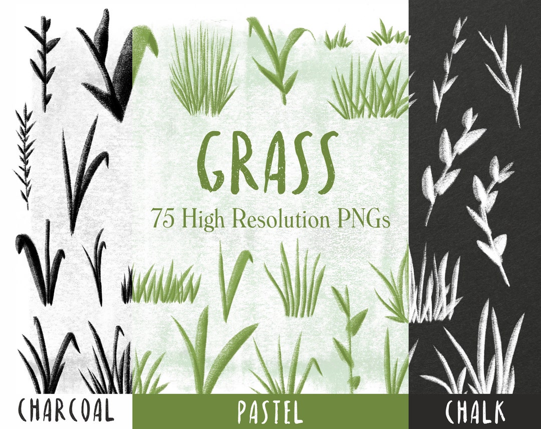 Pastel Grass - Chalk Grass - Charcoal Grass - Clipart Pngs - Etsy
