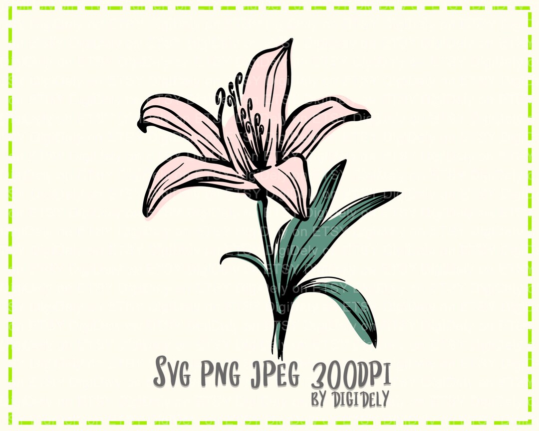 Digital — Lily — Illustration in SVG, PNG, JPEG (for Prints, Collages ...