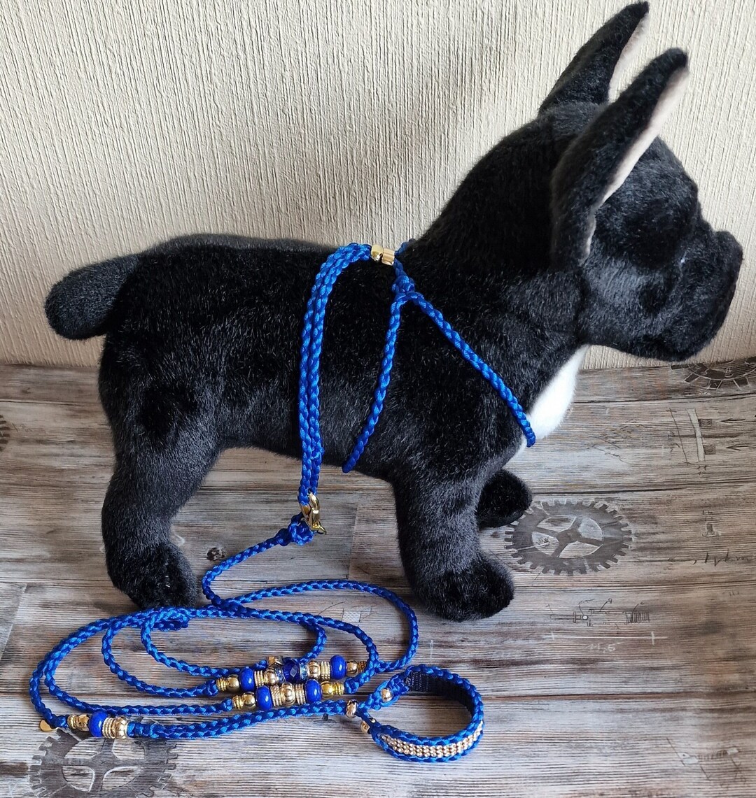 Dog Leash, Dog Harness, Dogs Accessories, 100% Hand Made, for Dog, Ring ...
