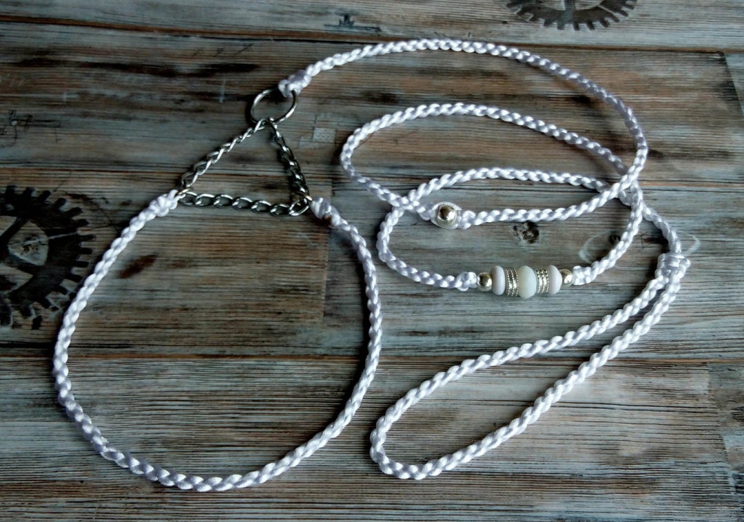 Dog Leash for Show, Show Leash, Colors, Martingale, Dog Show Leads ...