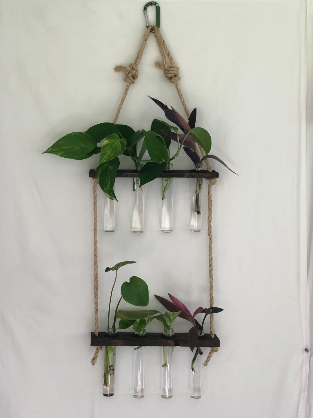 Hanging Propagation Station 8 Slot Live Plant Cutting Propagation Rope ...