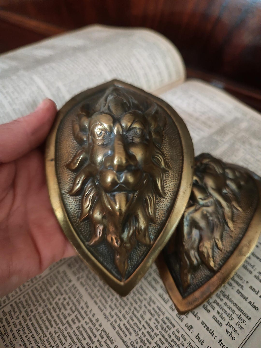 Pair of RARE Antique Old World Diabolical Demon Escutcheons ...