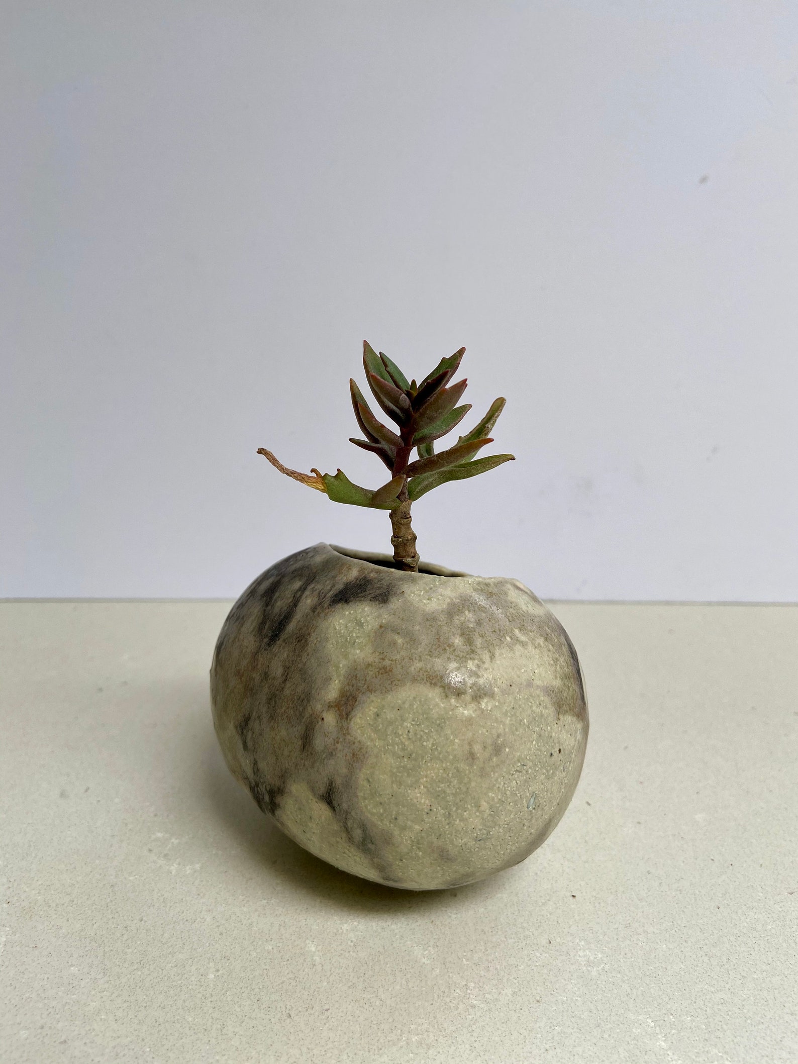 Un POT de planta de arcilla atractiva ovalada hecha a mano - Etsy España