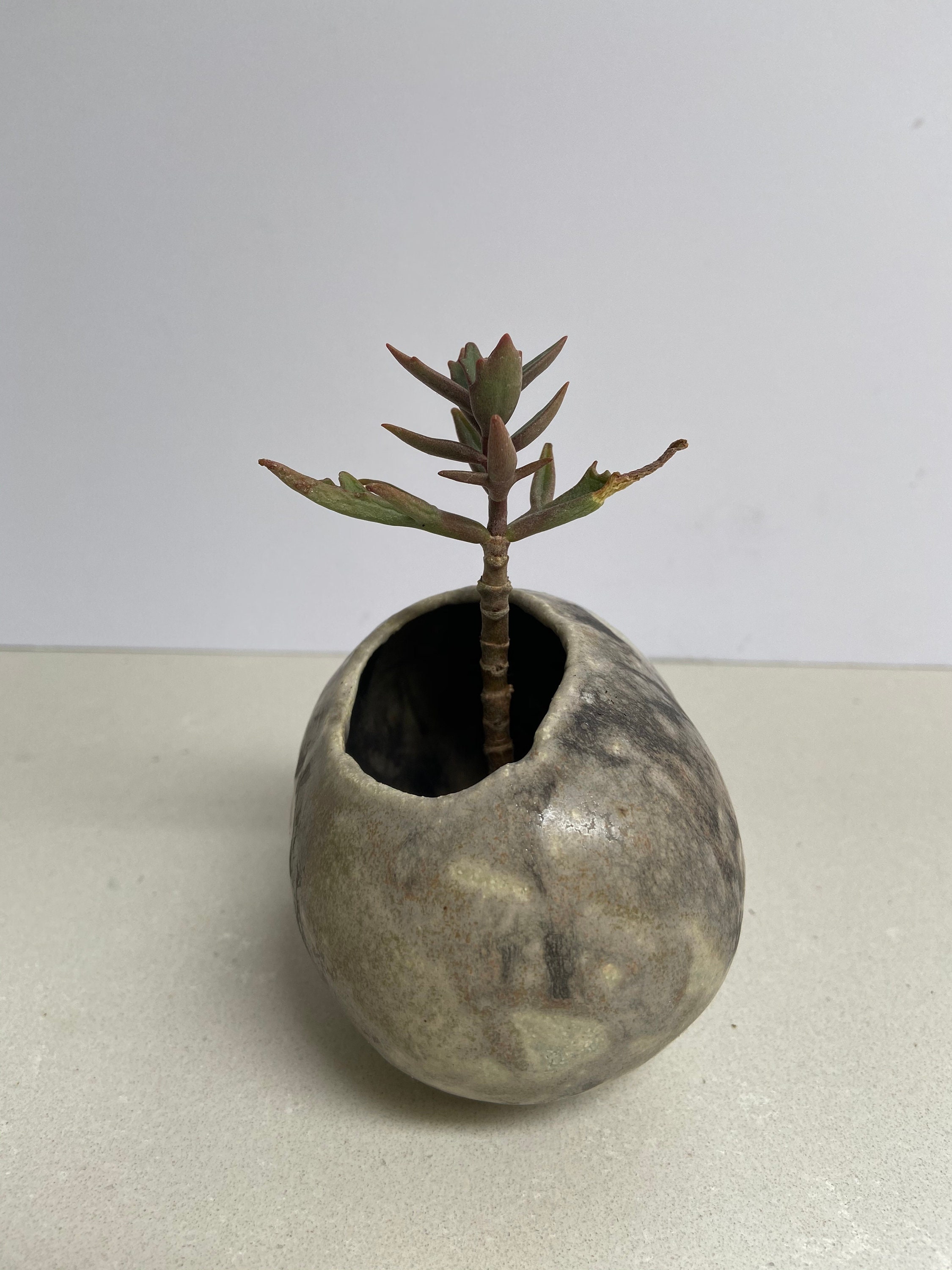 Un POT de planta de arcilla atractiva ovalada hecha a mano - Etsy España