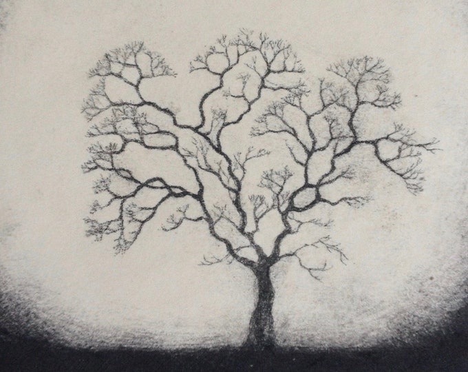 Winter Oak Tree Picture Limited Edition Drypoint Print Small - Etsy