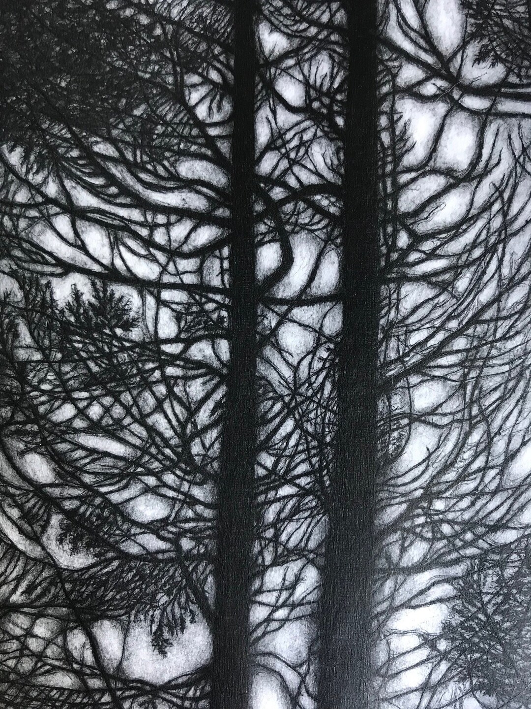Fir Trees Picture Limited Edition Drypoint Print Small Wall - Etsy
