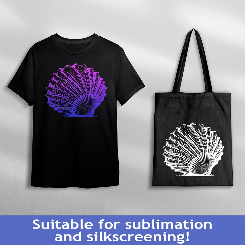 Seashell SVG Cut Out / Sea Shell T-shirt Design / Sea Shell Vector ...