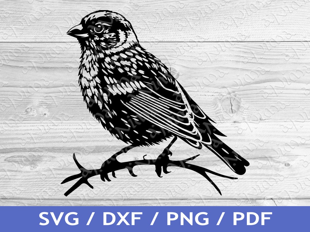 Finch SVG Cut Out / Finch T-shirt Design / Bird Vector / Laser File ...