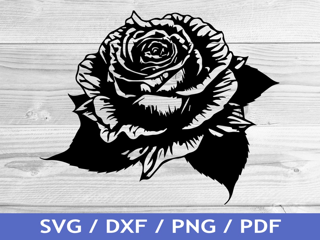 Rose SVG Cut Out / Rose Blossom Cricut Design / Rose Flower T Shirt ...