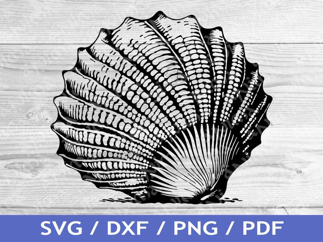 Seashell SVG Cut Out / Sea Shell T-shirt Design / Sea Shell Vector ...