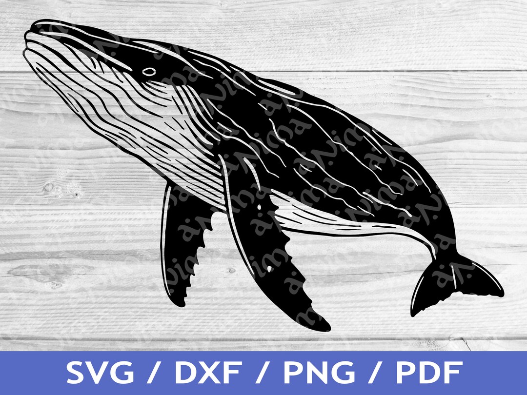 Humpback Whale SVG Cut Out / Whale Cricut Design / Whale Vector / Ocean ...