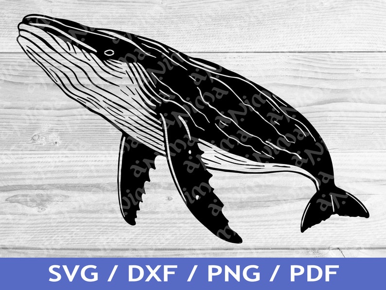 Humpback Whale SVG Cut Out / Whale Cricut Design / Whale - Etsy