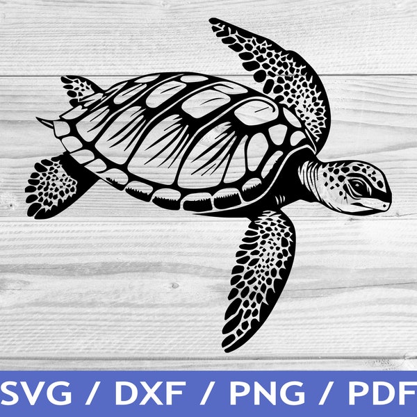 Turtle Cricut - Etsy