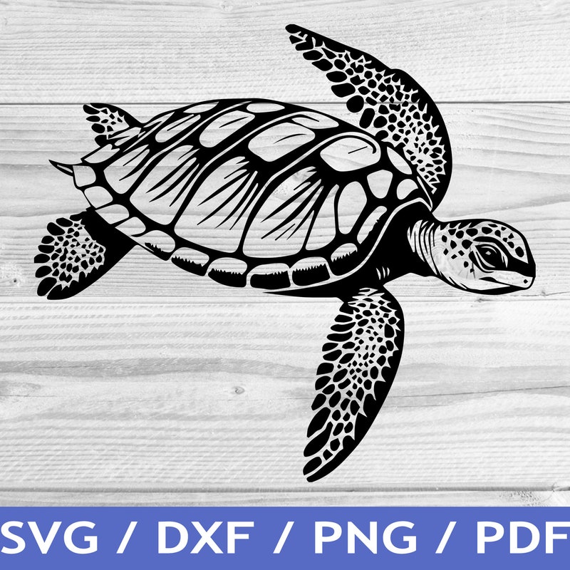 Turtle Cricut - Etsy