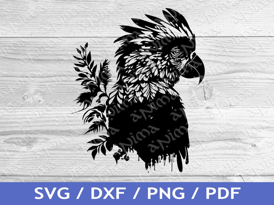 Macaw SVG Cut Out / Parrot Cricut Design / Tropical Bird T Shirt Design ...