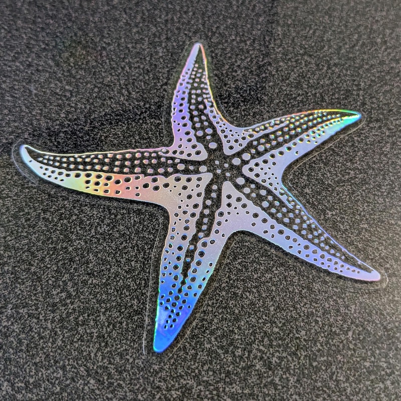 Vinyl Starfish Sticker - Etsy