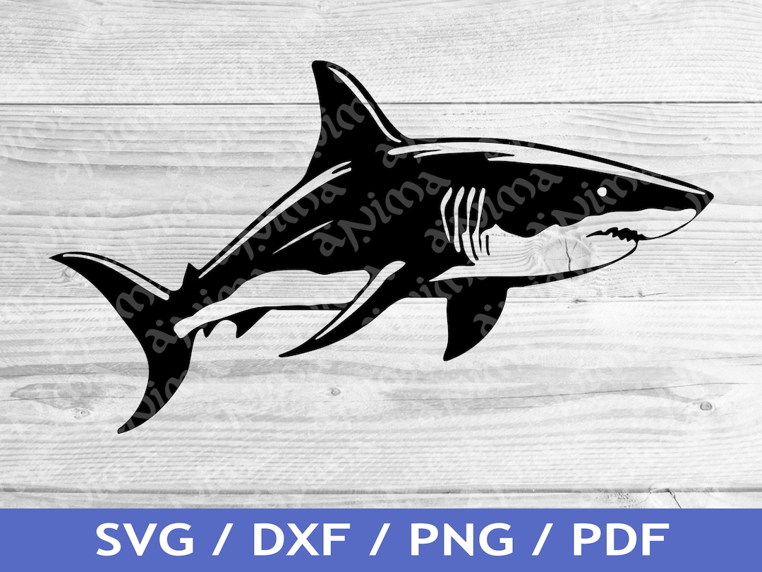 Shark SVG Cut Out / Shark Cricut Design / Shark Vector / Ocean Vector ...