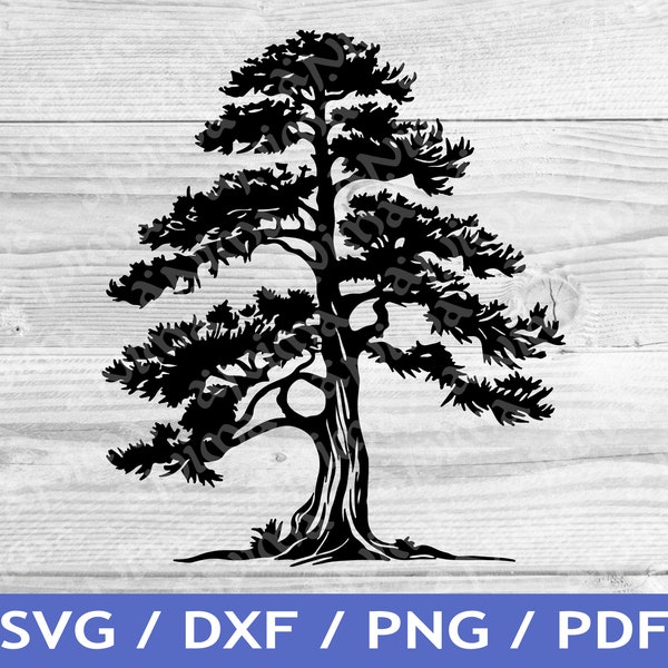 Pine Tree Svg - Etsy